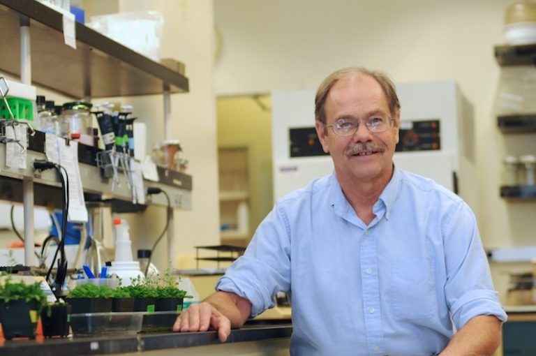 Professor R. Michael Mulligan Reappointed as Associate Dean of Graduate ...