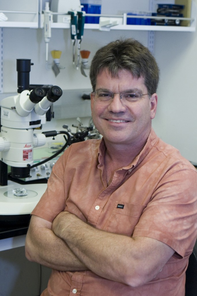 Too Much ‘Noise’ Can Affect Brain Development - Charlie Dunlop School ...