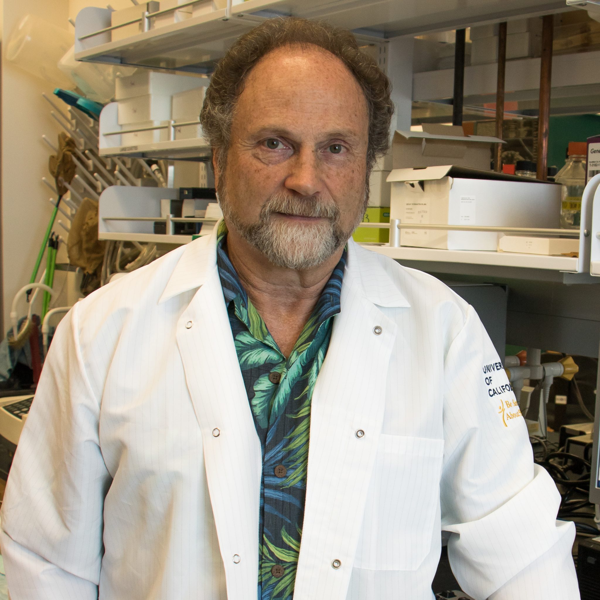 Commentary: Why Spraying Pesticides for Mosquito Control is a Bad Idea ...