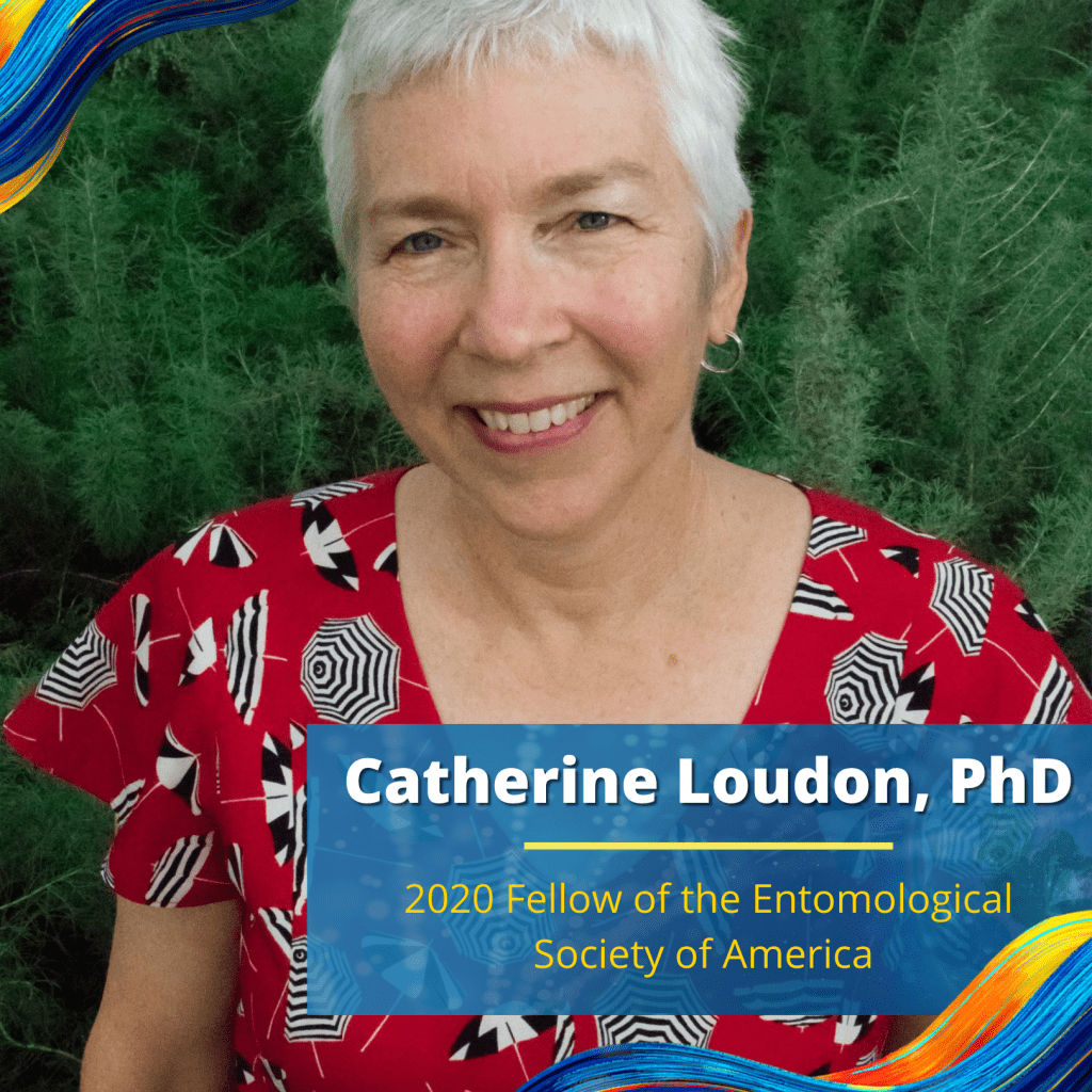 EEB Vice Chair and Professor Catherine Loudon Honored as a 2020 Fellow ...