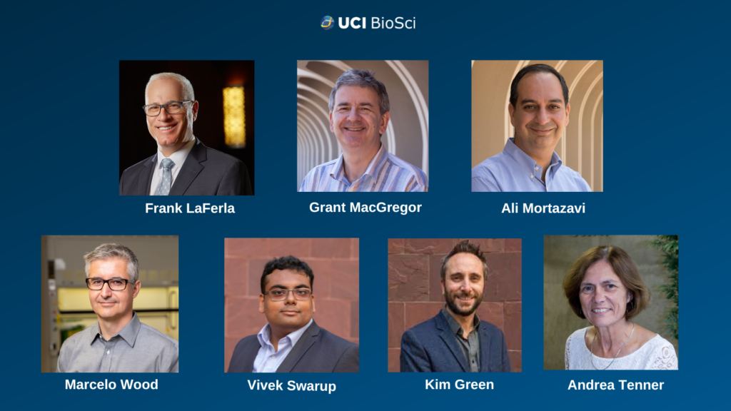 New Mouse Model Helps Scientists Unravel the Mysteries of Alzheimer's ...