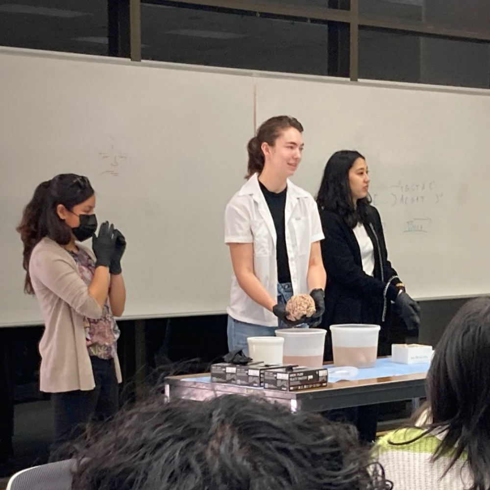 UC Irvine School of Biological Sciences Celebrates Professor Steven ...